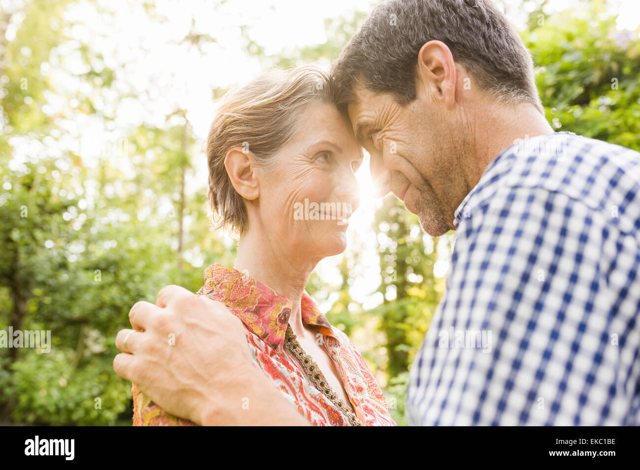 Ground hugging tree hi-res stock photography and images - Alamy