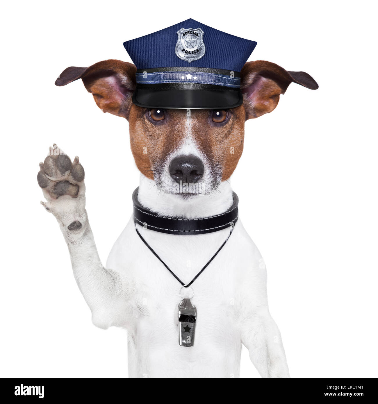 Funny traffic police hi-res stock photography and images - Alamy