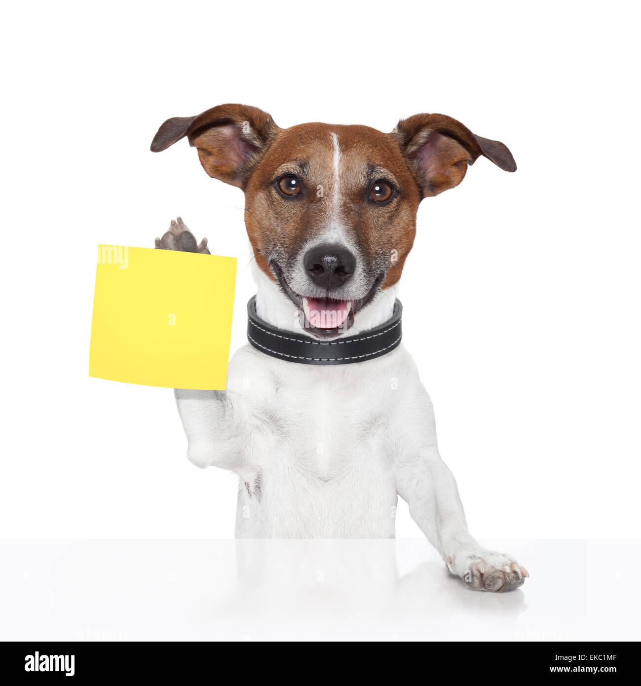 sticky note banner dog Stock Photo - Alamy