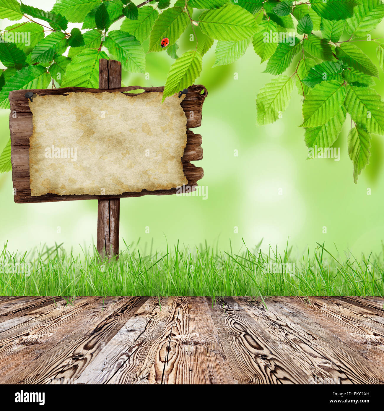 Wooden table with green grass, spring background Stock Photo - Alamy