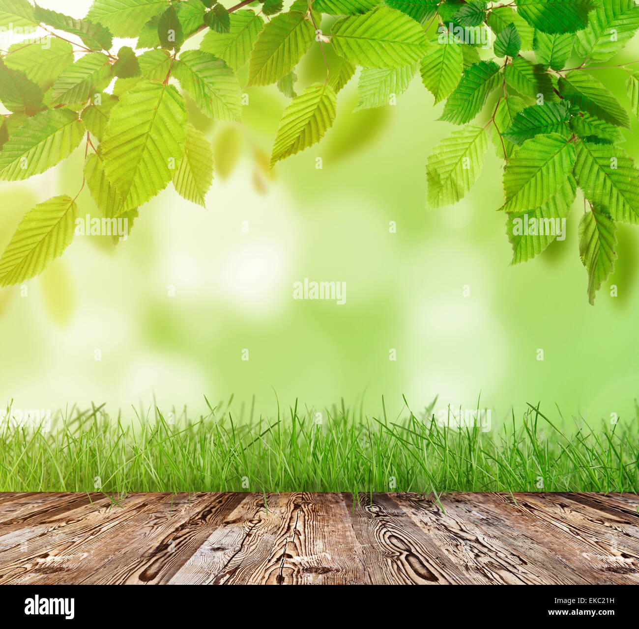 Wooden table with green grass, spring background Stock Photo - Alamy
