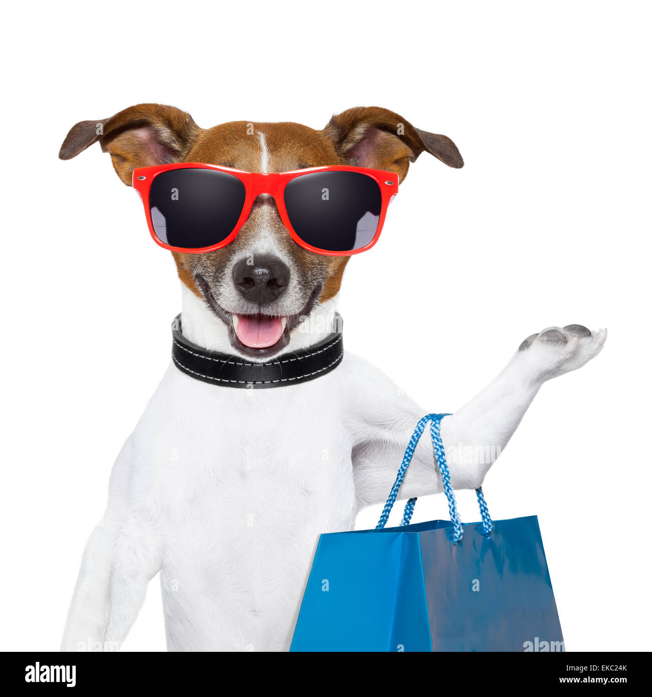 Shopping dog hi-res stock photography and images - Alamy