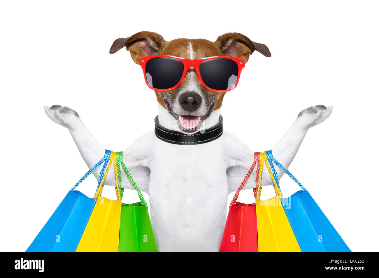 Personal shopper dog hi-res stock photography and images - Alamy