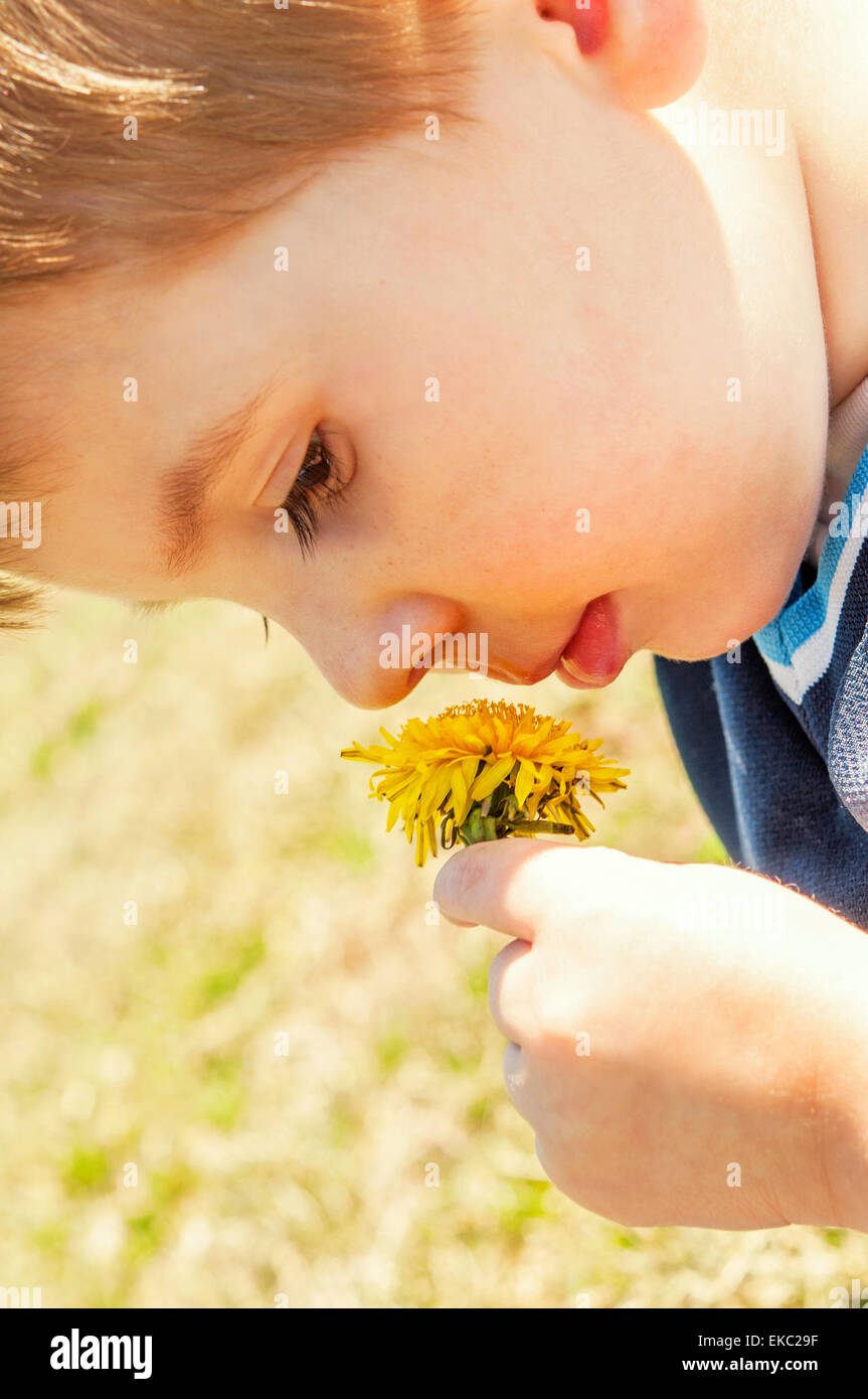 Child smelling flower hi-res stock photography and images - Alamy
