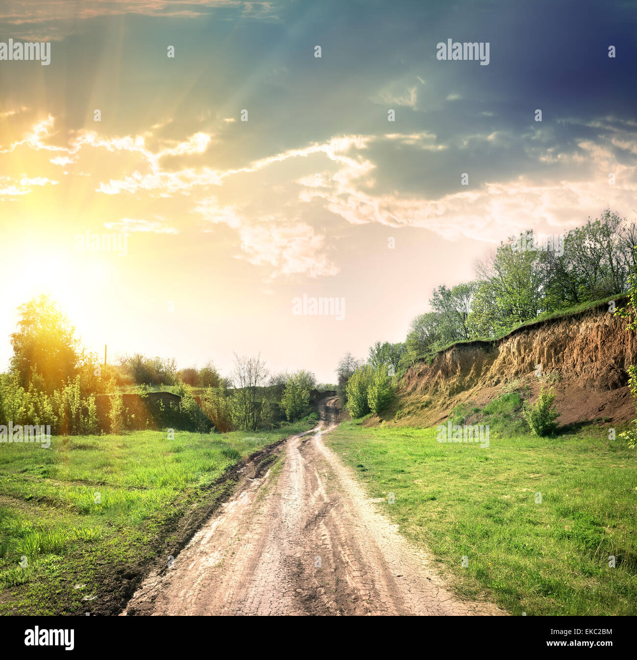 Country road and open land Stock Photo - Alamy