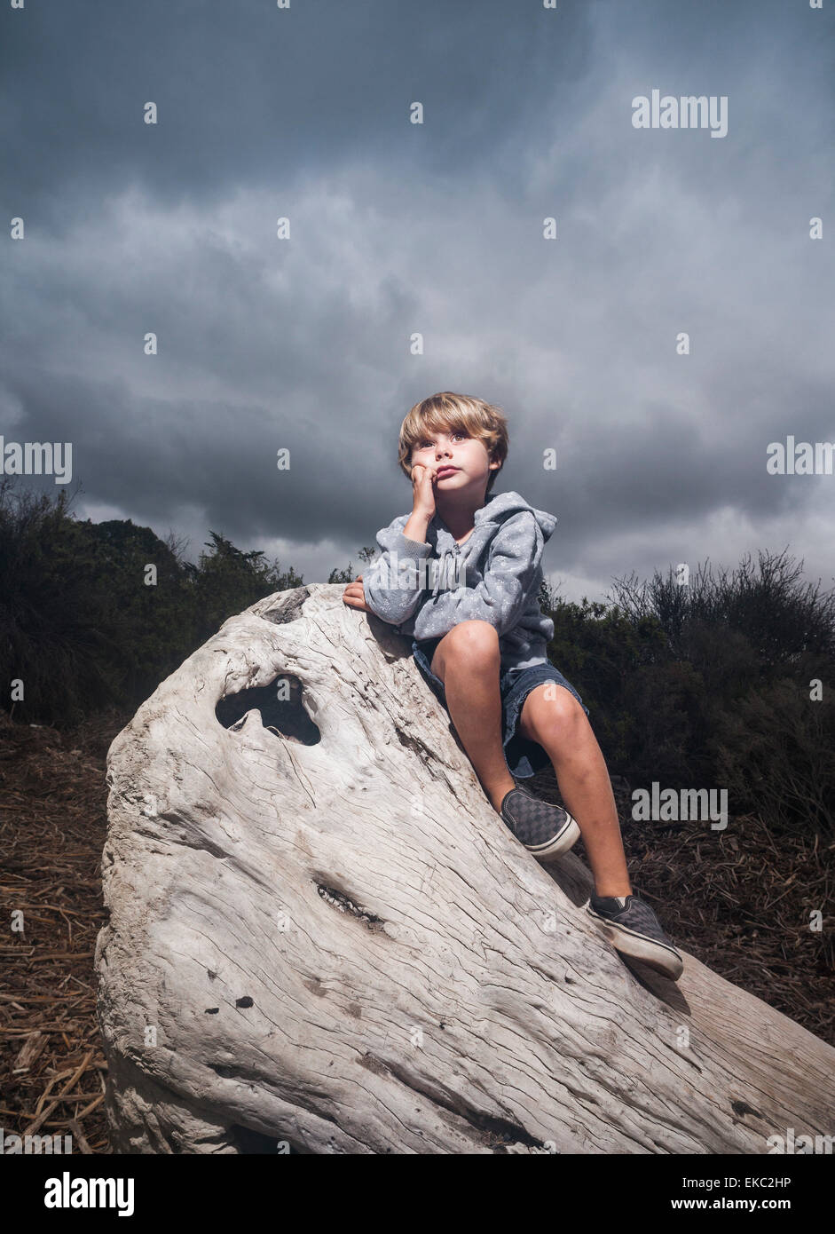 Young boy sitting on tree stump against stormy sky Stock Photo - Alamy
