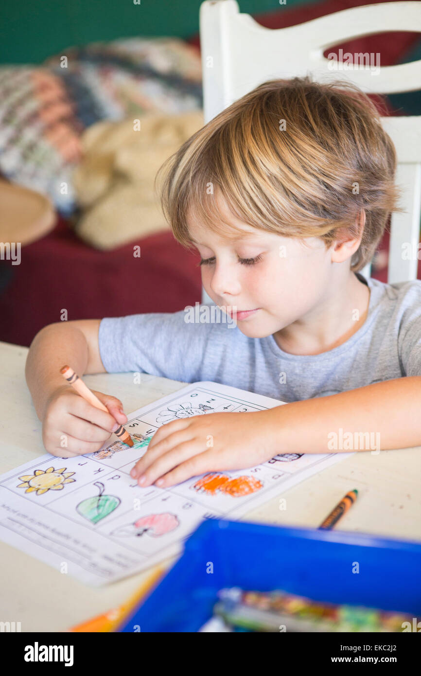 Young boy doing homework Stock Photo - Alamy