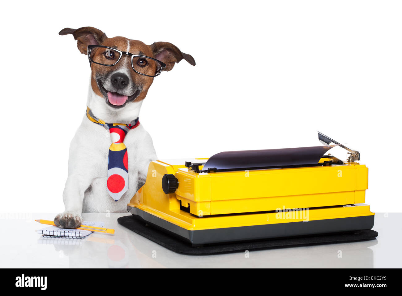 business dog typewriter Stock Photo - Alamy