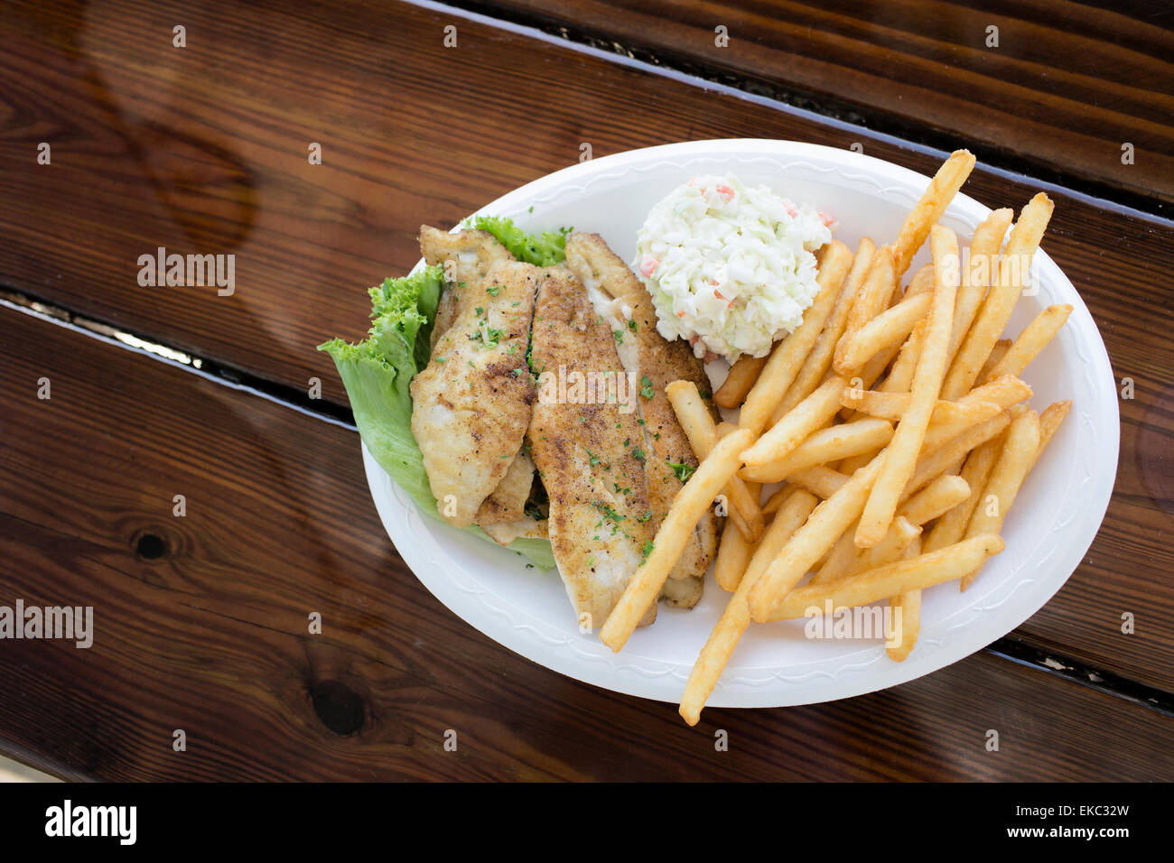 Northern red snapper (Lutjanus campechanus) dish Stock Photo - Alamy