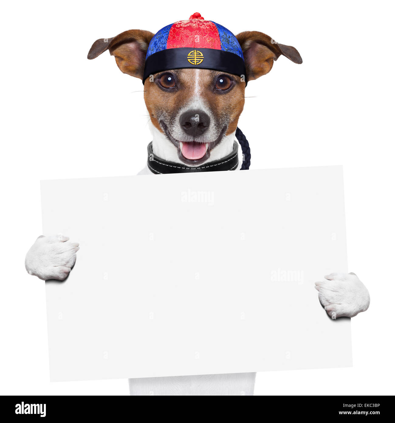 Rice dog hi-res stock photography and images - Alamy