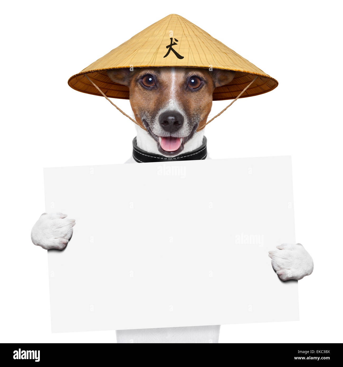 Rice dog hi-res stock photography and images - Alamy