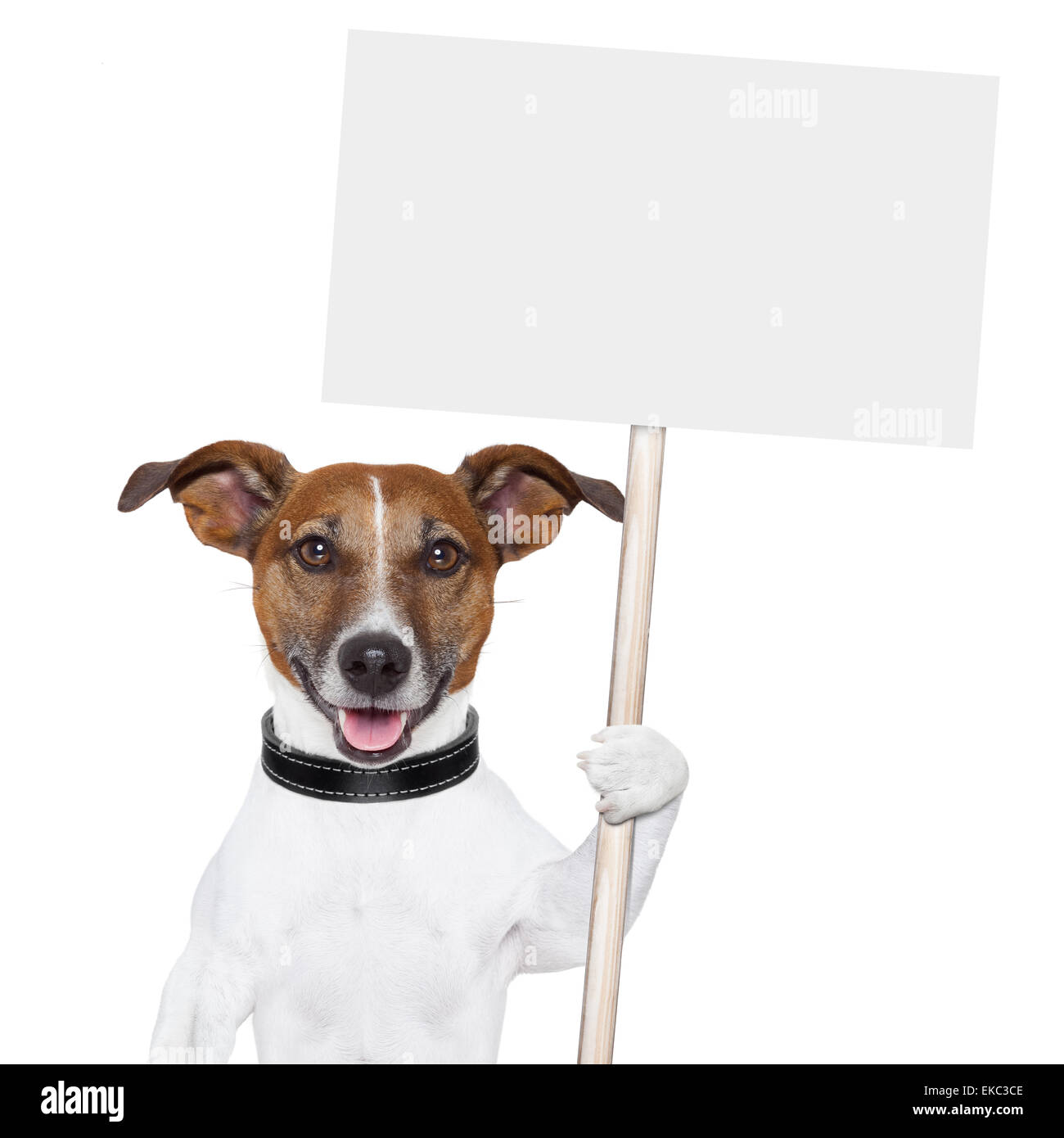 Dor panel Cut Out Stock Images & Pictures - Alamy