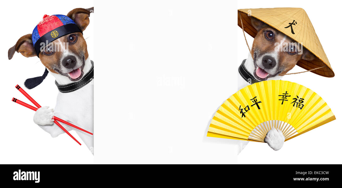 Asia dogs Cut Out Stock Images & Pictures - Alamy