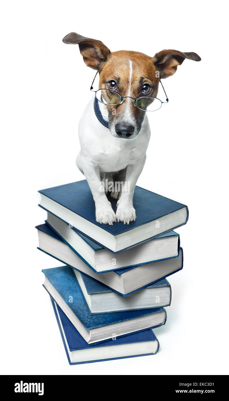 Portrait book cover Cut Out Stock Images & Pictures - Alamy