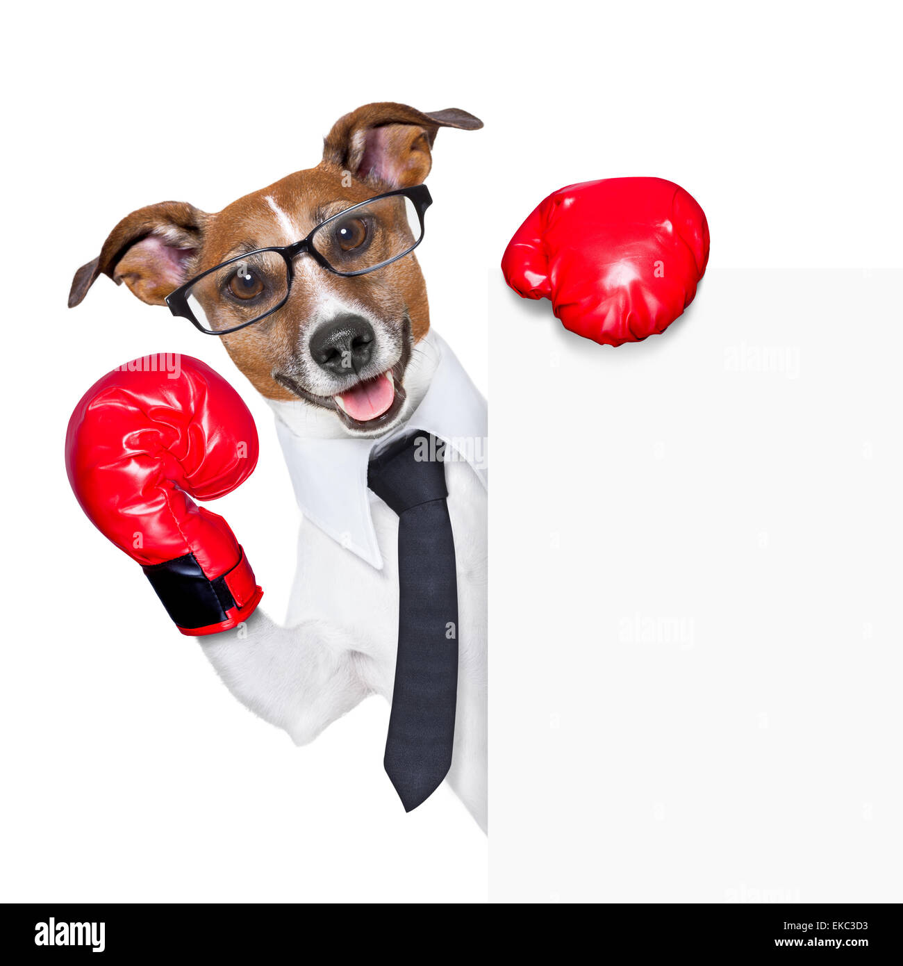 Boxing poster Cut Out Stock Images & Pictures - Alamy