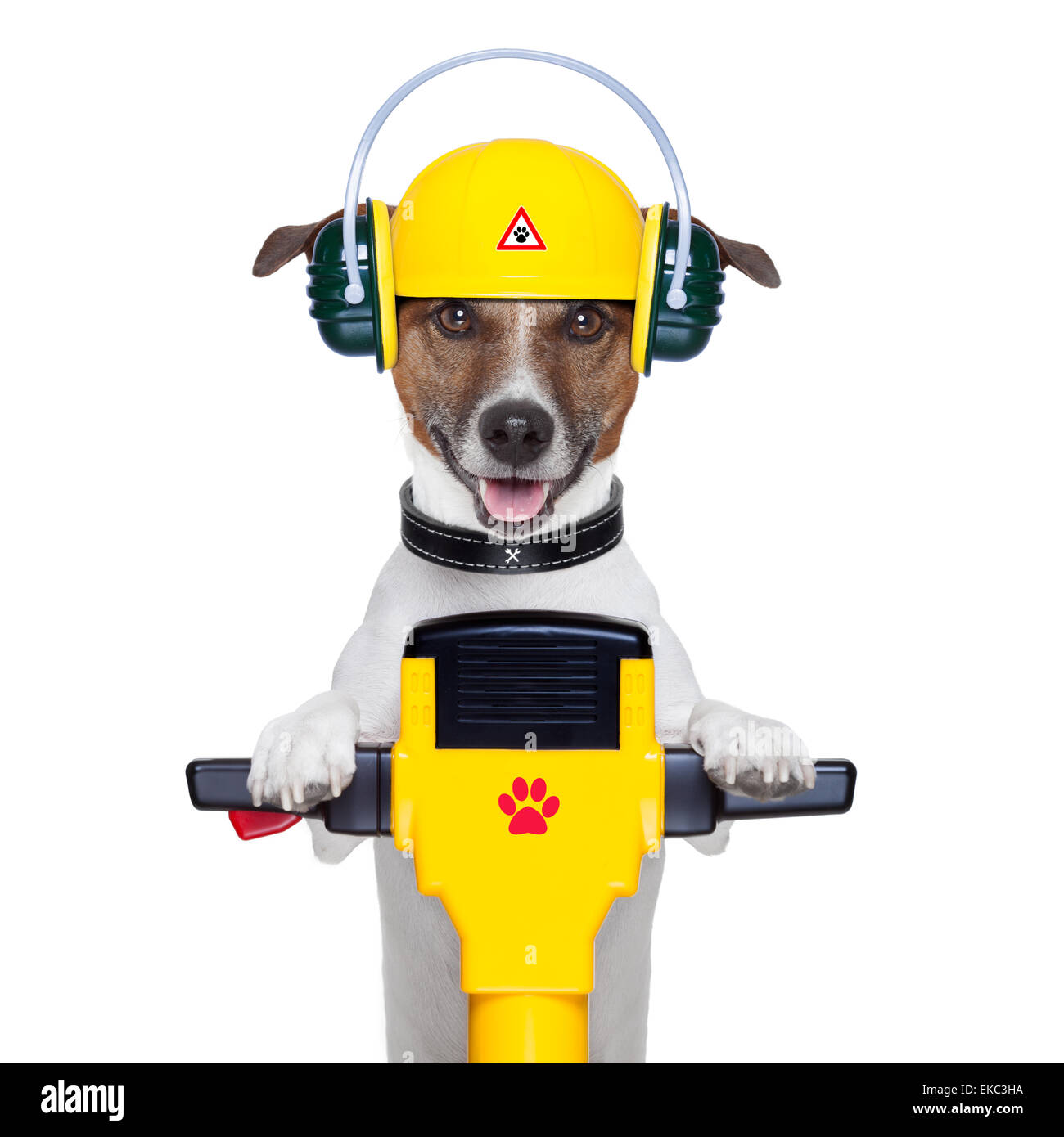 handyman dog worker Stock Photo - Alamy