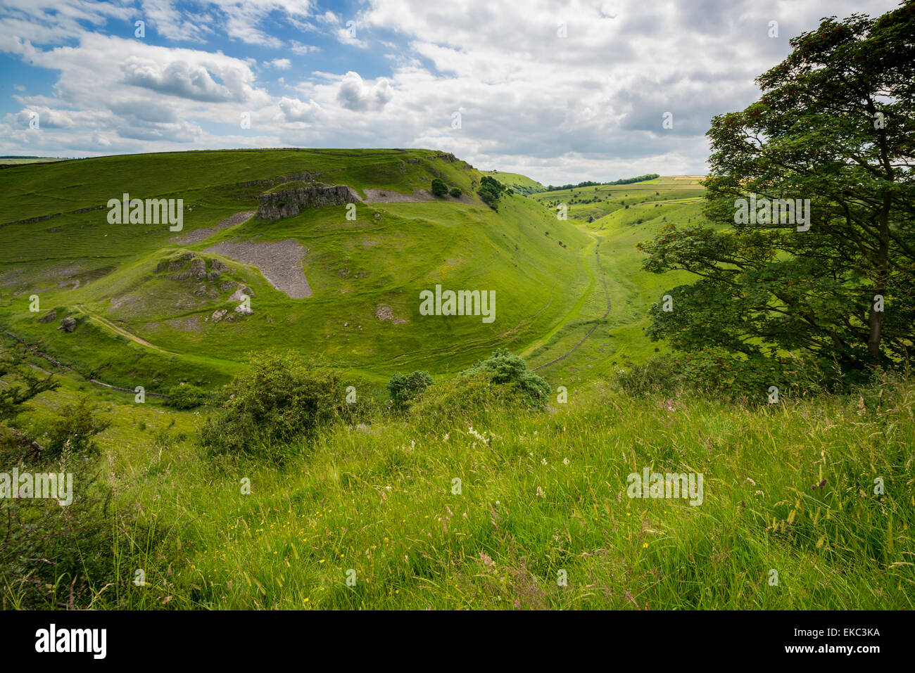 Cressbrook Dale, NNR, Peak District National Park Stock Photo - Alamy