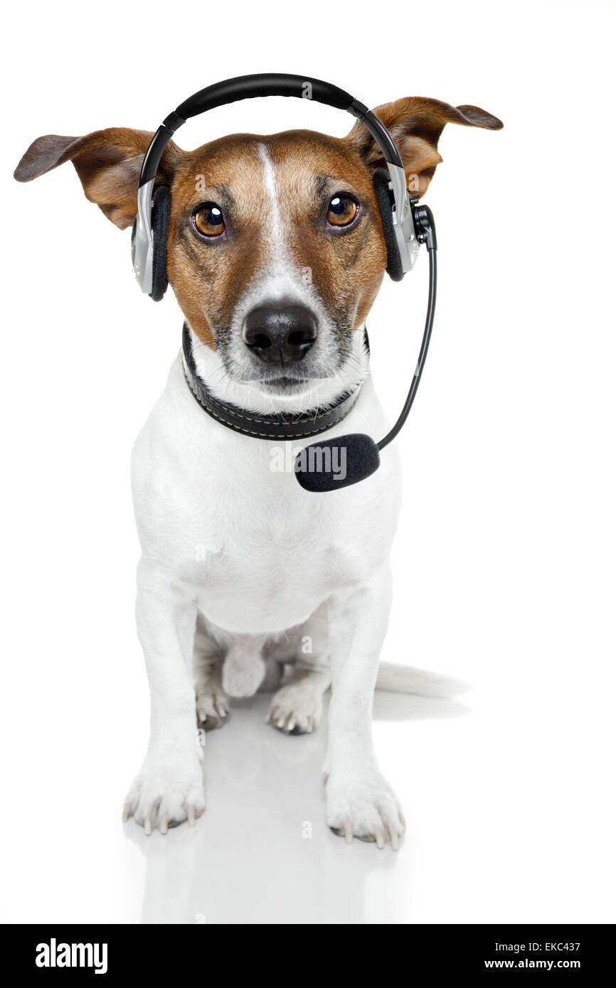 Dog with headset hi-res stock photography and images - Alamy