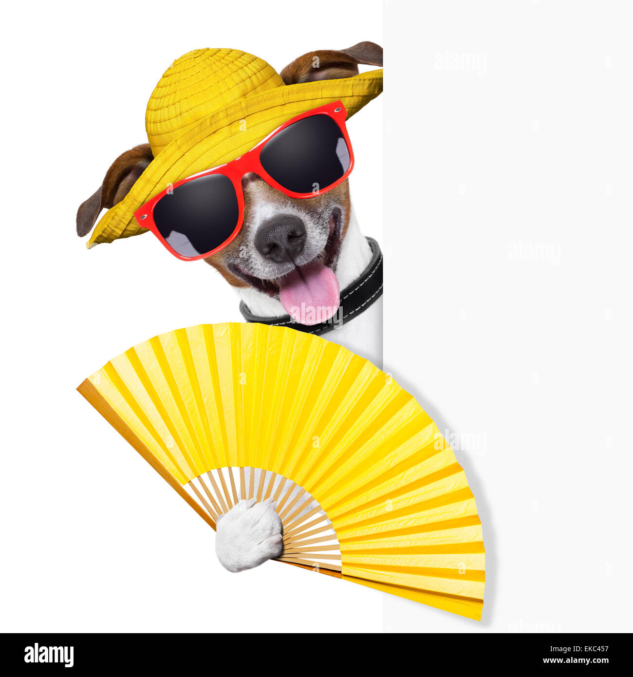 Tropical cocktail drink poster Cut Out Stock Images & Pictures - Alamy