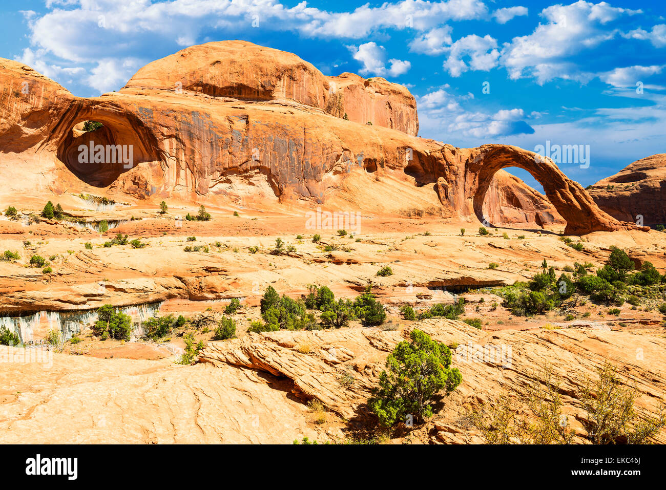 Corona Arch and Bowtie Arch Stock Photo - Alamy
