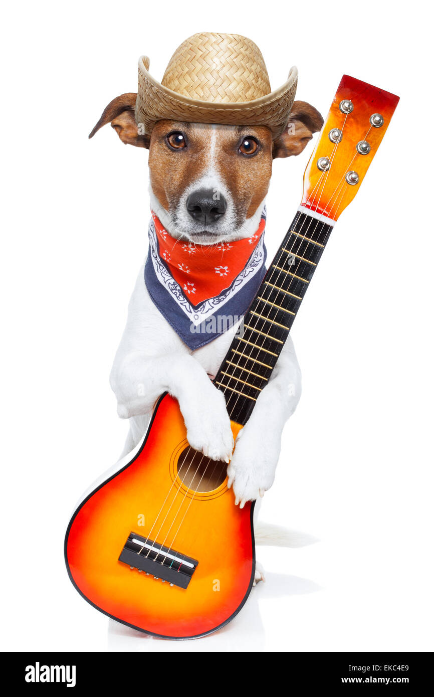 Rock dog Cut Out Stock Images & Pictures - Alamy