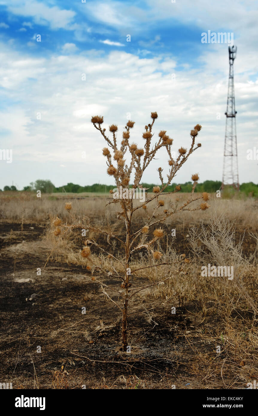 Communication between nature and technology Stock Photo - Alamy
