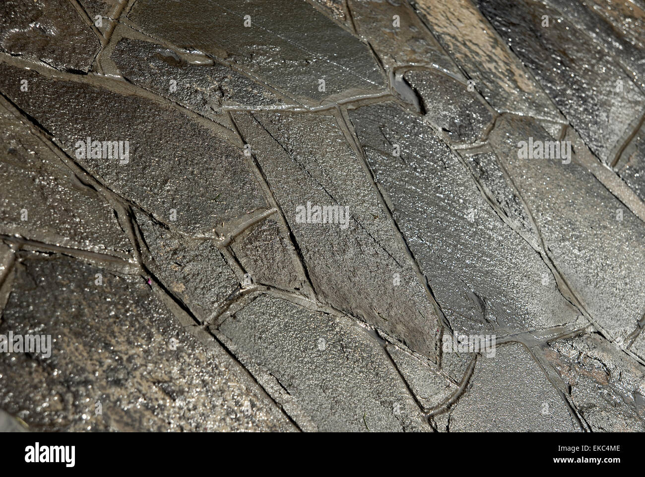 Wet texture hi-res stock photography and images - Alamy