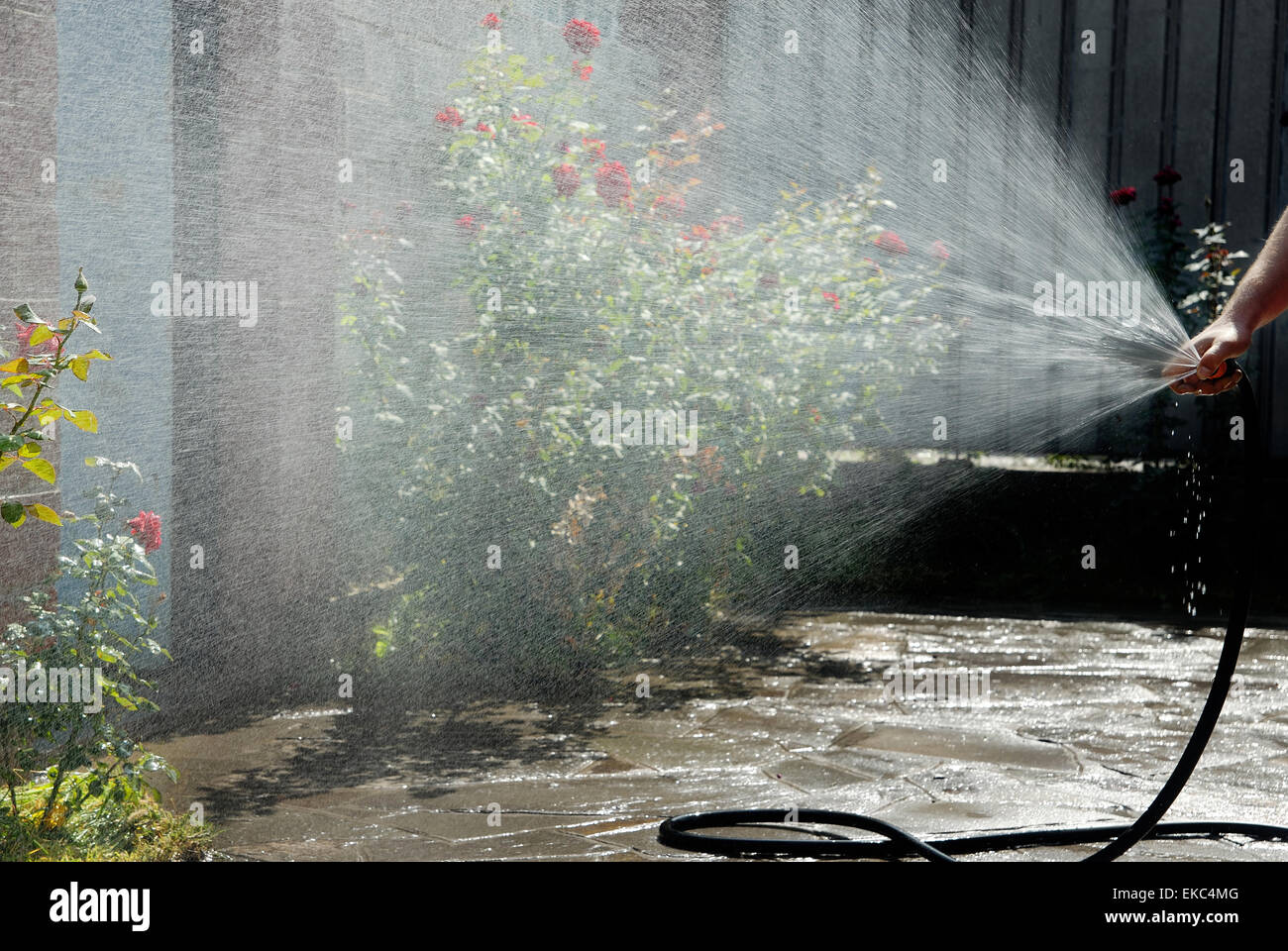 Work of gardener Stock Photo - Alamy