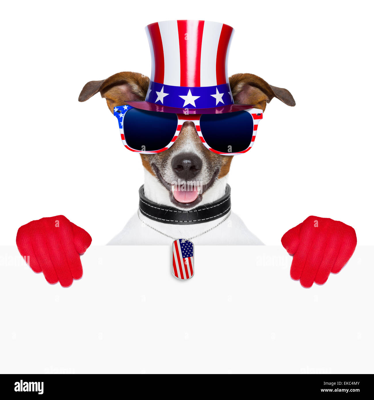 usa american dog Stock Photo - Alamy