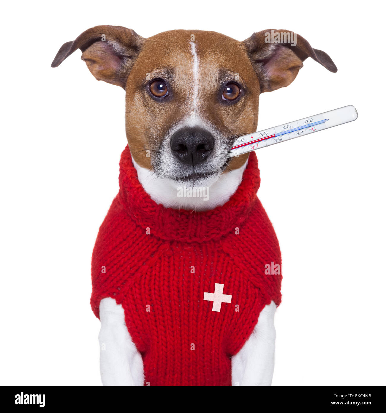 Sick humor hi-res stock photography and images - Alamy