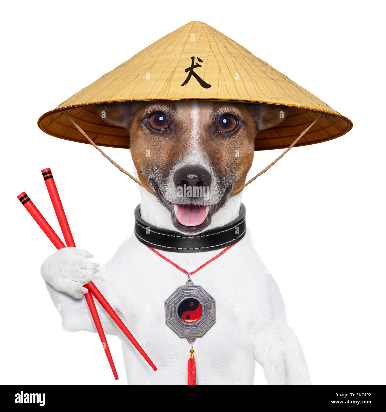 Dog chef hat hi-res stock photography and images - Alamy