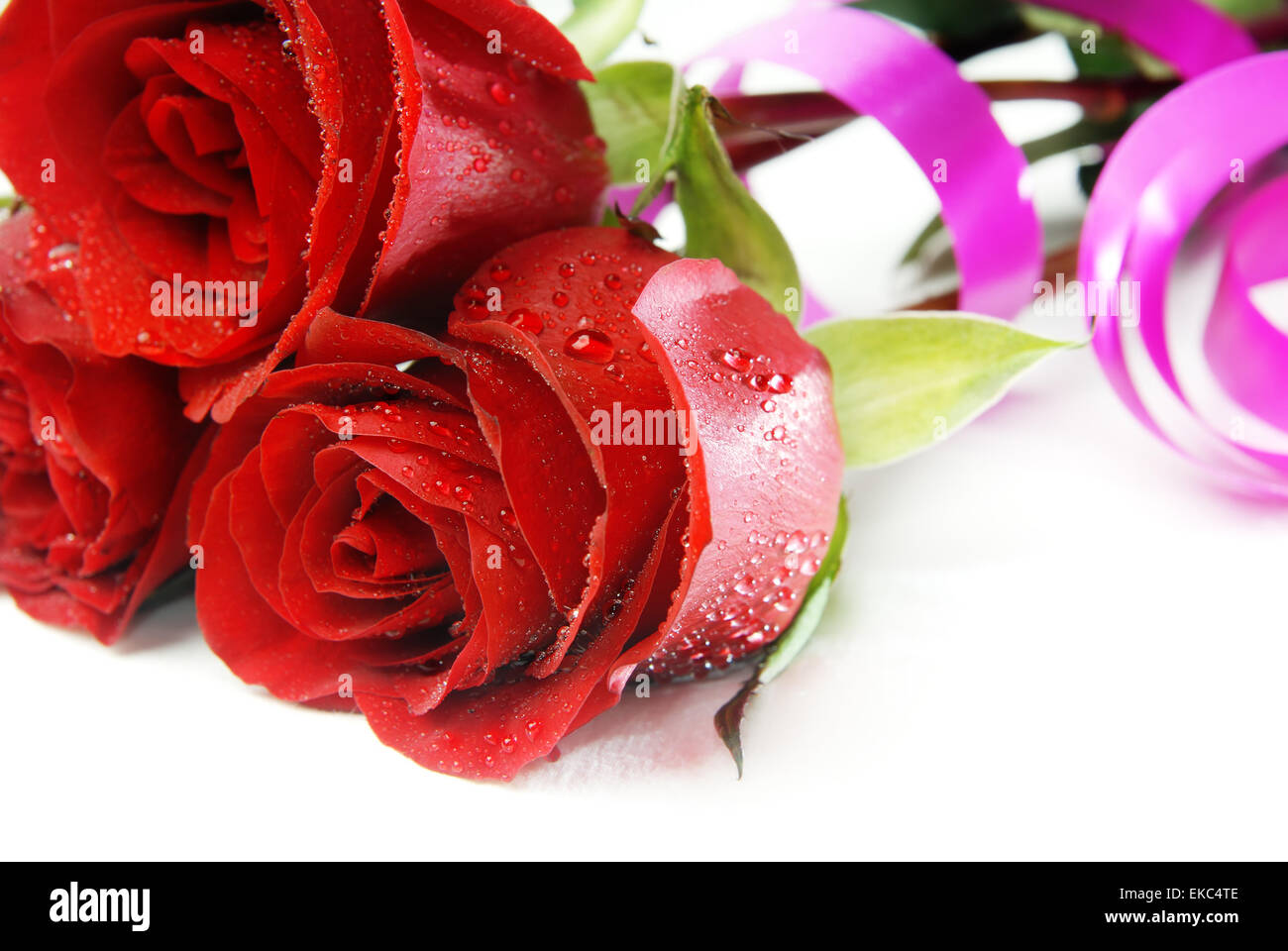 Roses and water Stock Photo - Alamy
