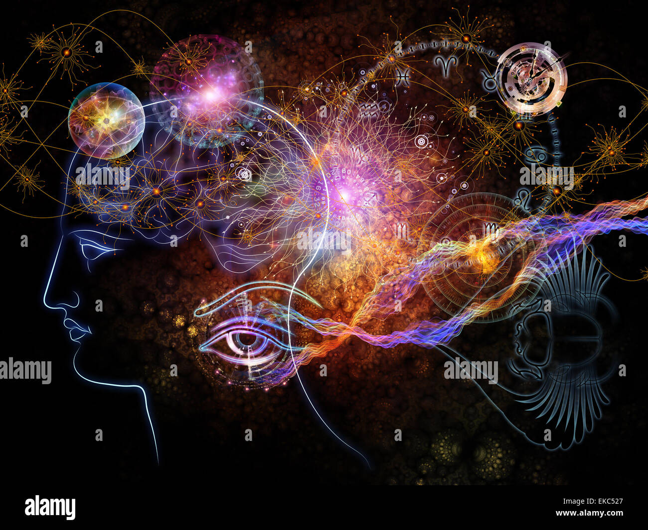 Brain pathways hi-res stock photography and images - Alamy