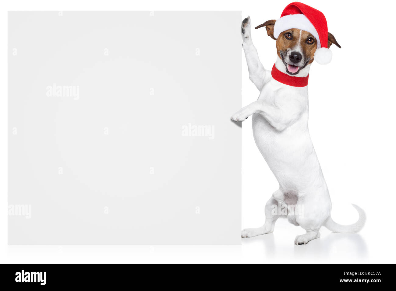 Placeholder Cut Out Stock Images & Pictures - Alamy