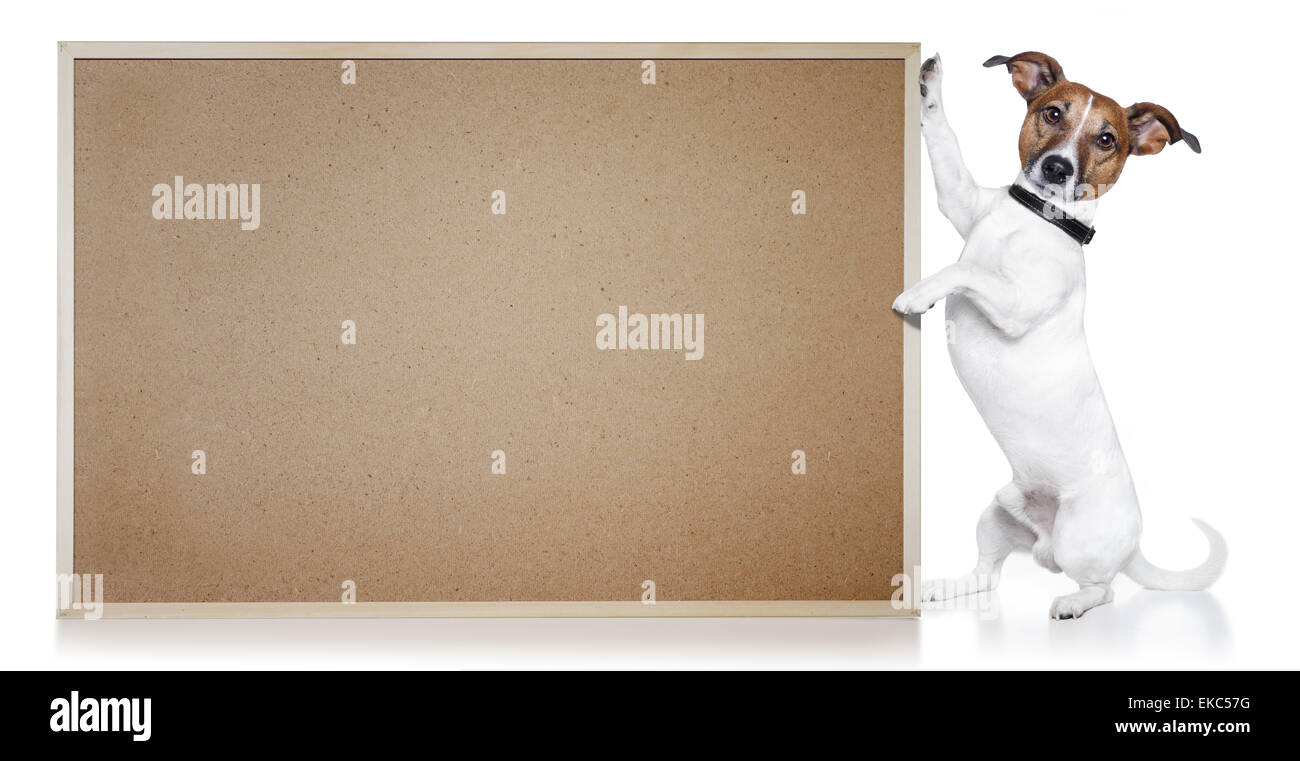 Dog Banner Placeholder High Resolution Stock Photography and Images - Alamy