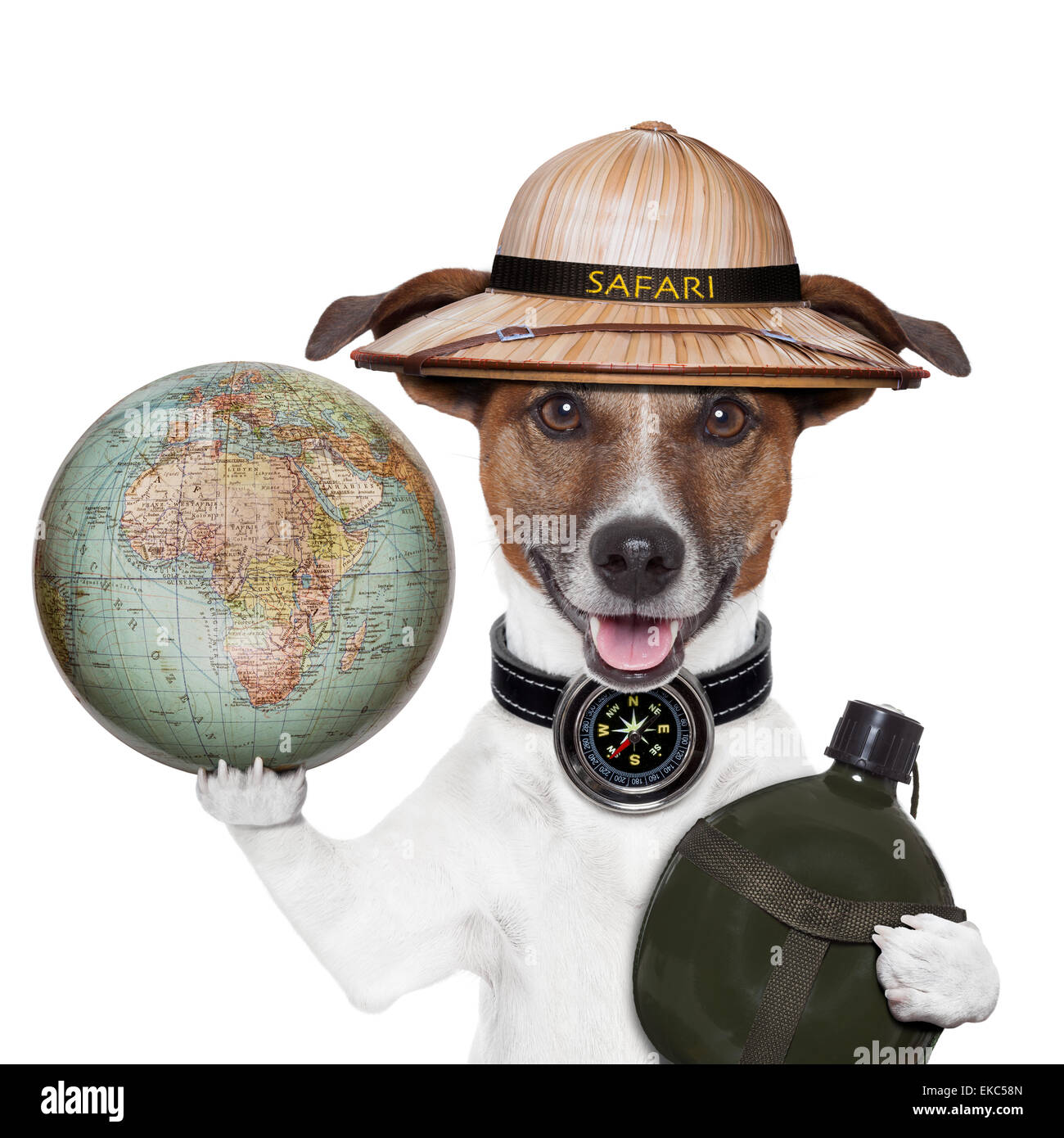 Funny map compass hi-res stock photography and images - Alamy