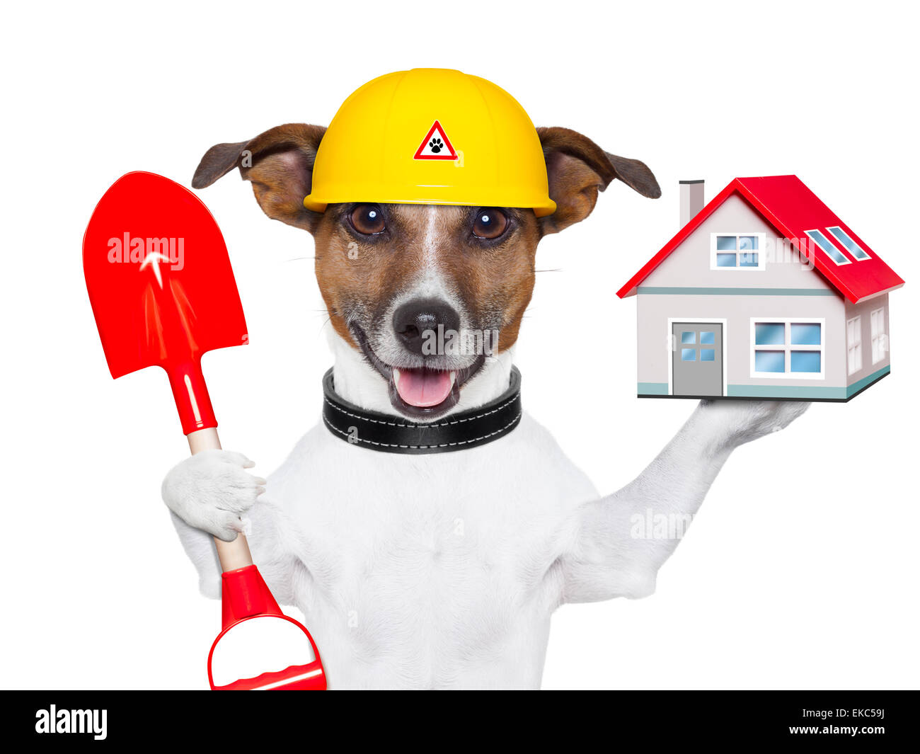 home dog builder Stock Photo - Alamy