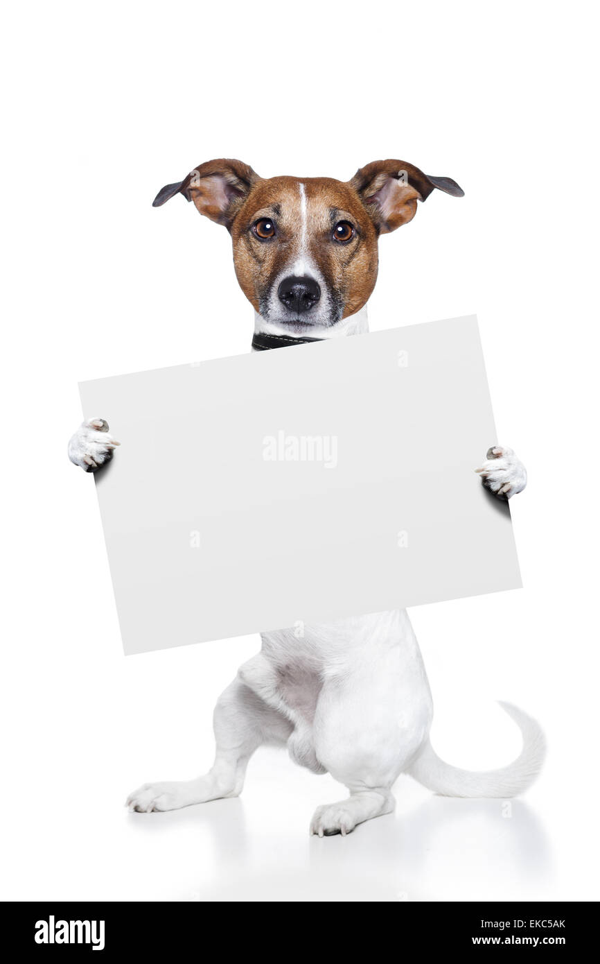 banner placeholder dog Stock Photo - Alamy