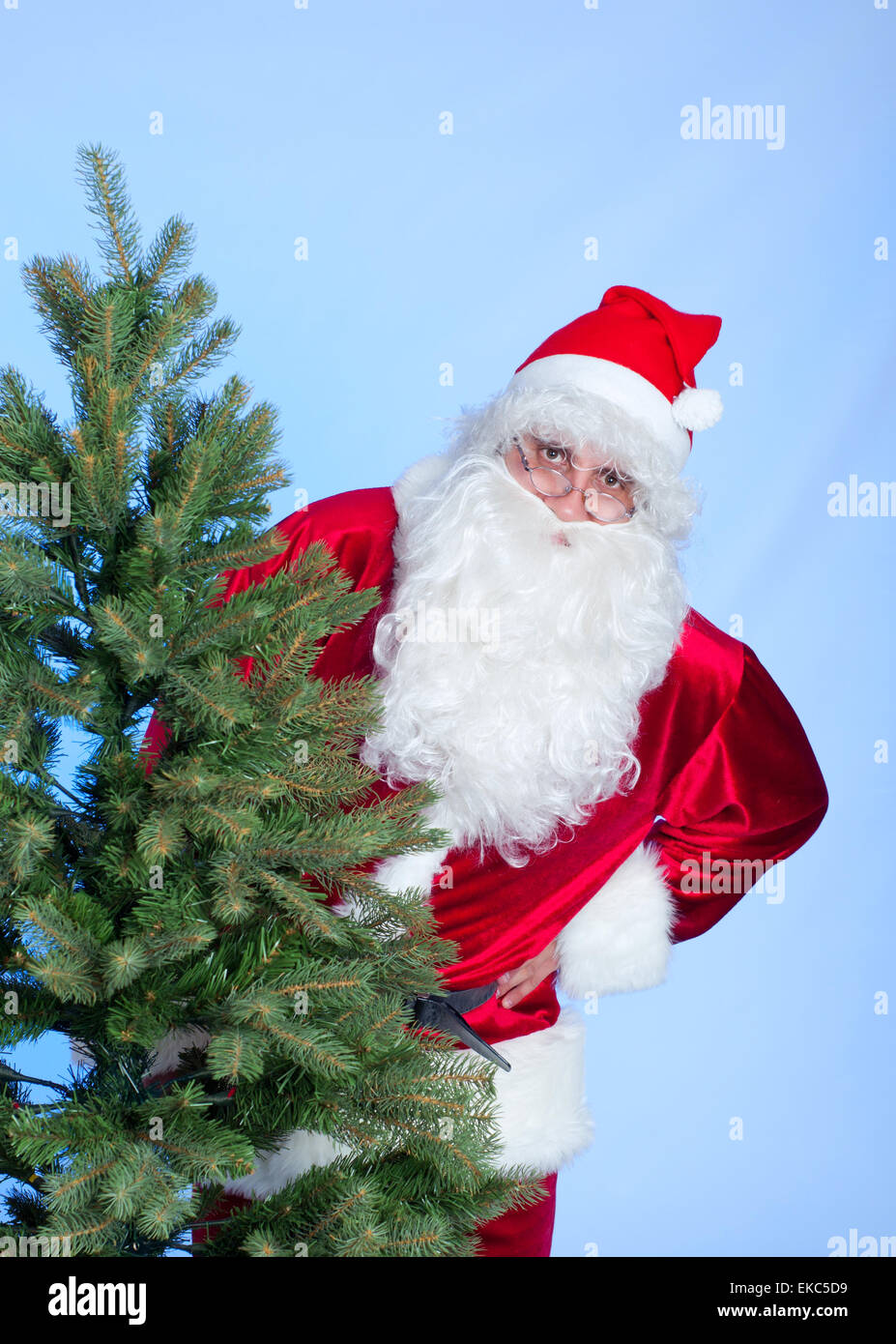 Santa and Christmas tree Stock Photo - Alamy