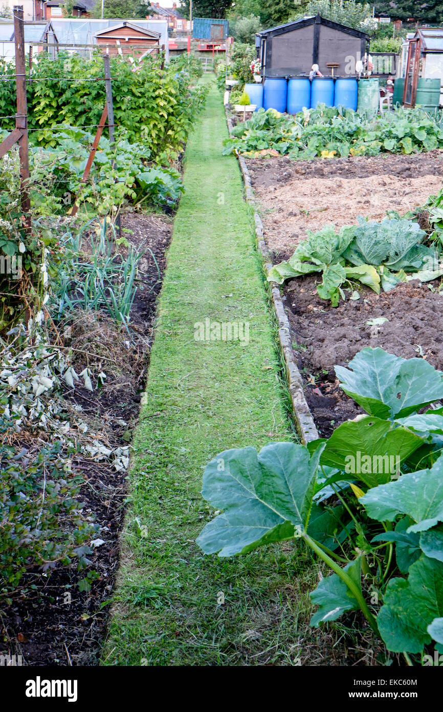 Grass footpath hi-res stock photography and images - Alamy