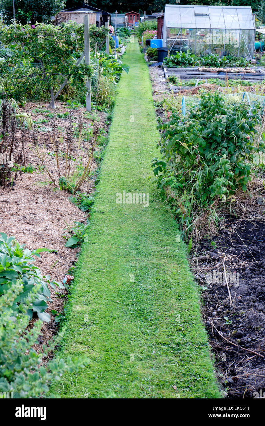 Grass footpath hi-res stock photography and images - Alamy