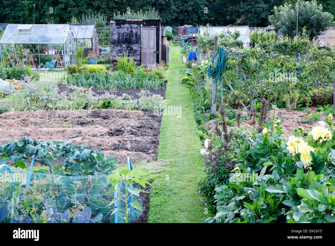 Mowed grass hi-res stock photography and images - Alamy