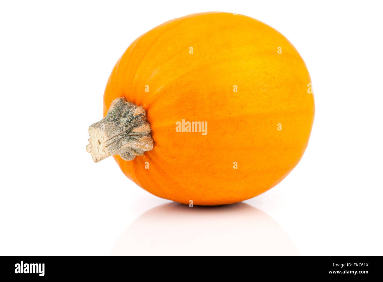 mini pumpkin isolated on white background Stock Photo - Alamy