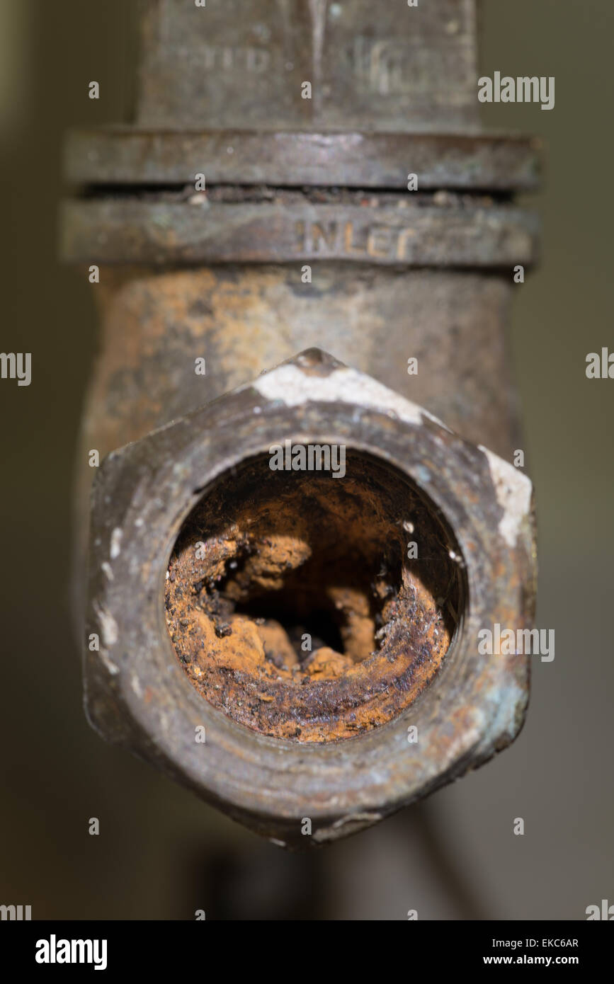 Hard Water Deposits In Pipes