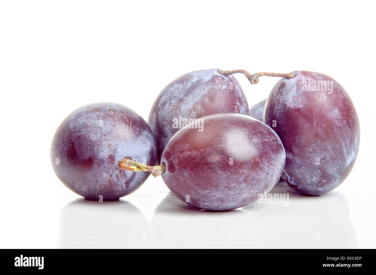 freshly picked plums Stock Photo - Alamy