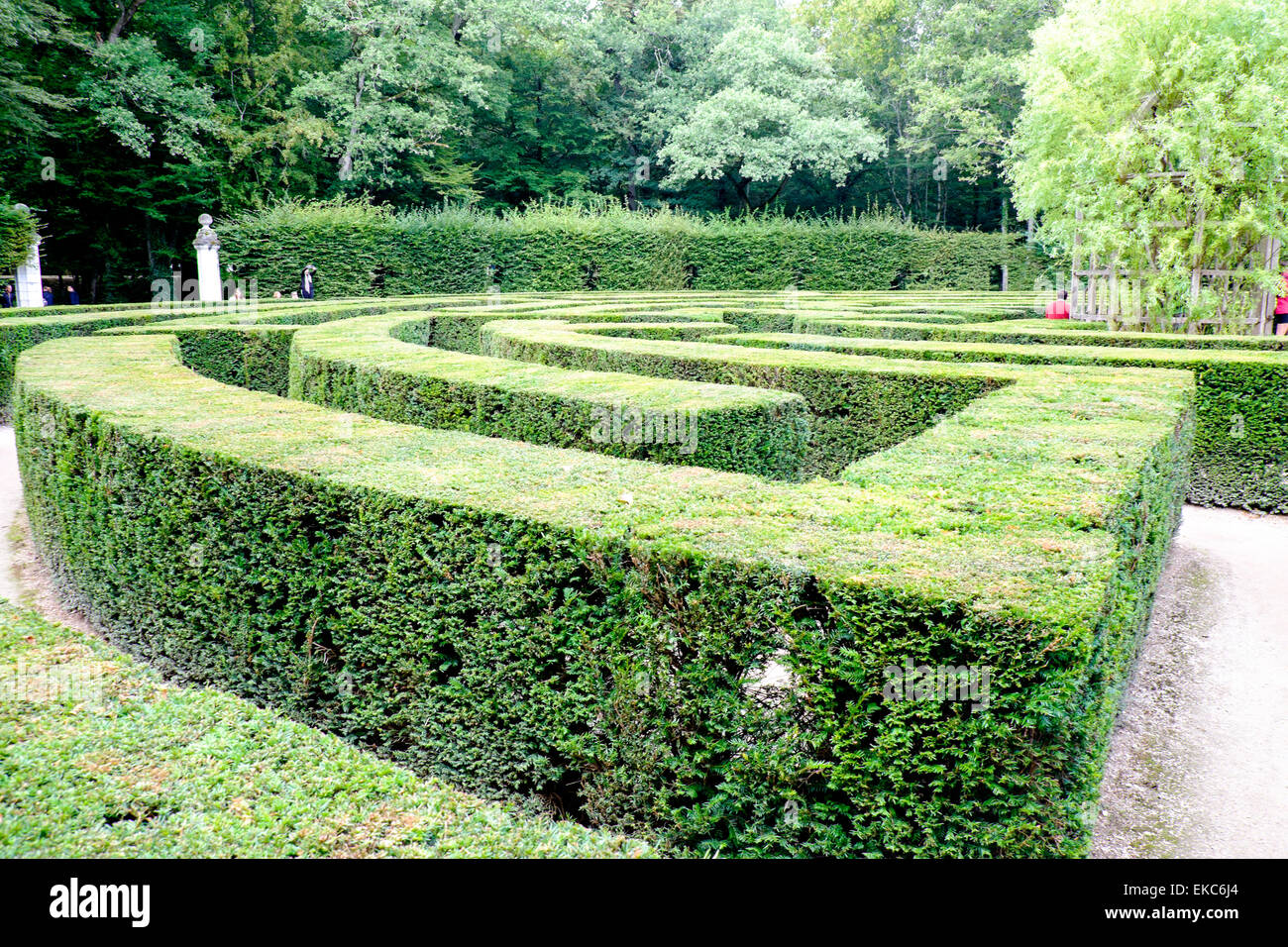 Italian Maze