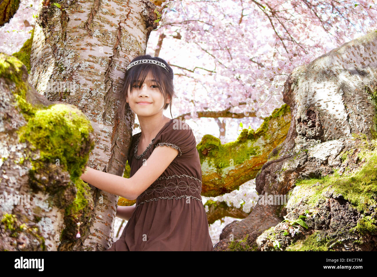 Young girl sitting on branches of flowering cherry tree Stock Photo - Alamy
