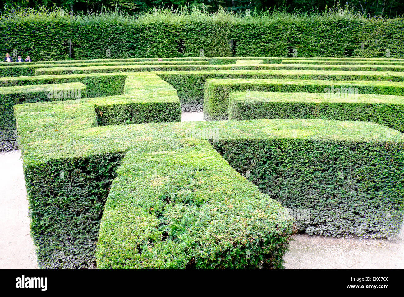 Italian Maze