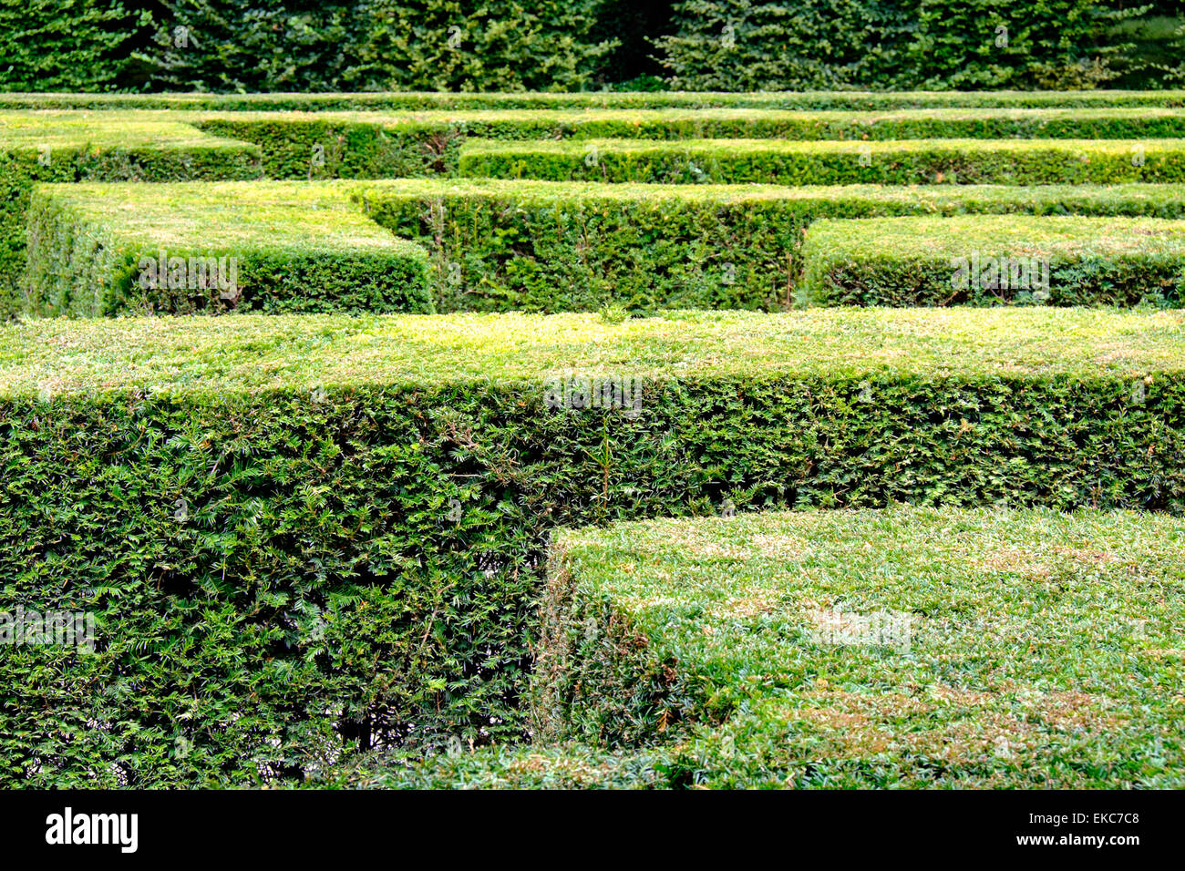 The Italian Maze at Chateau de Chenonceau in the Indre-et-Loire, France ...