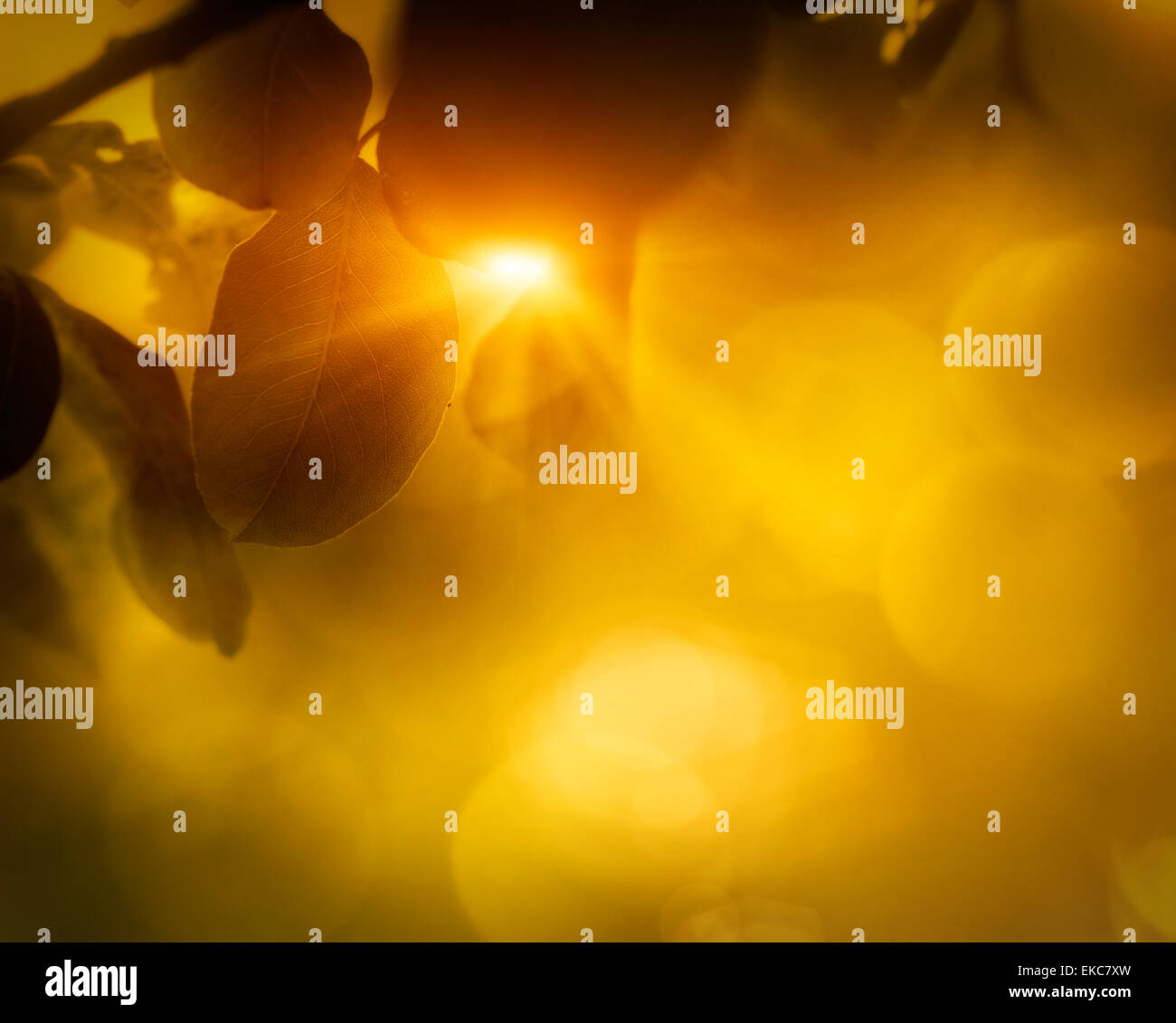 Apple desktop wallpaper hi-res stock photography and images - Alamy